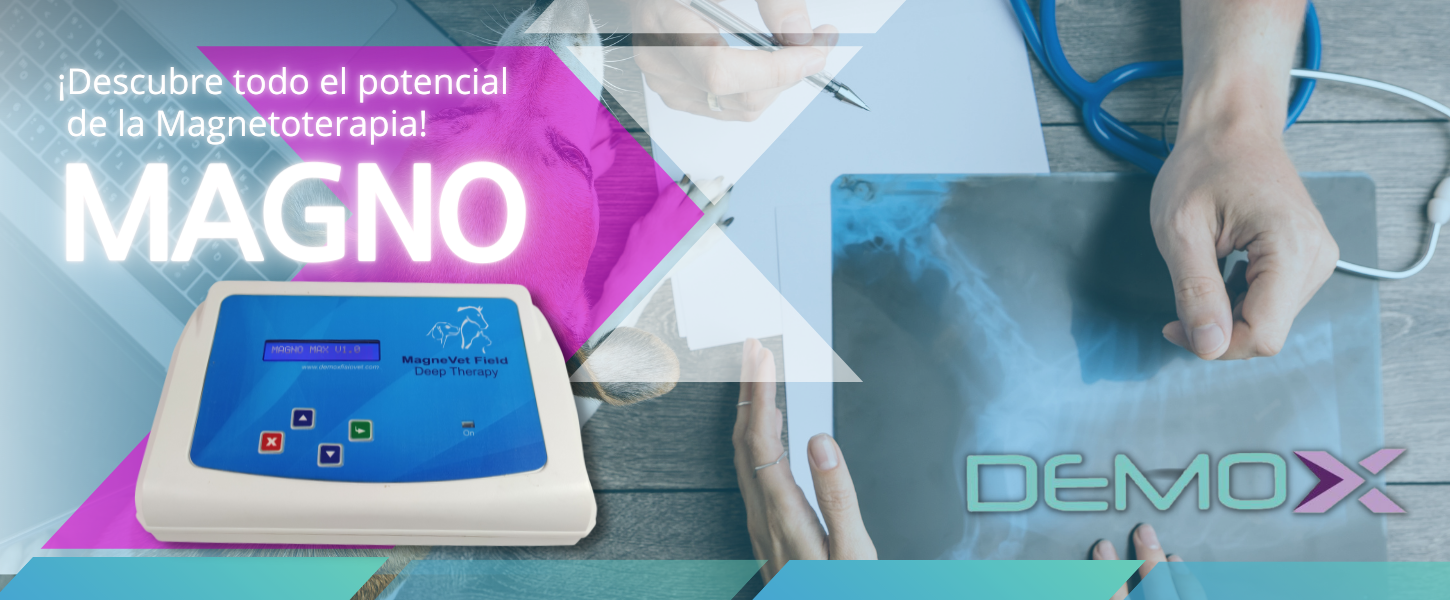 Demox – Equipos para fisioterapia animal